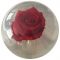Clear Red Rose Bowling Ball - BowlerX.com
